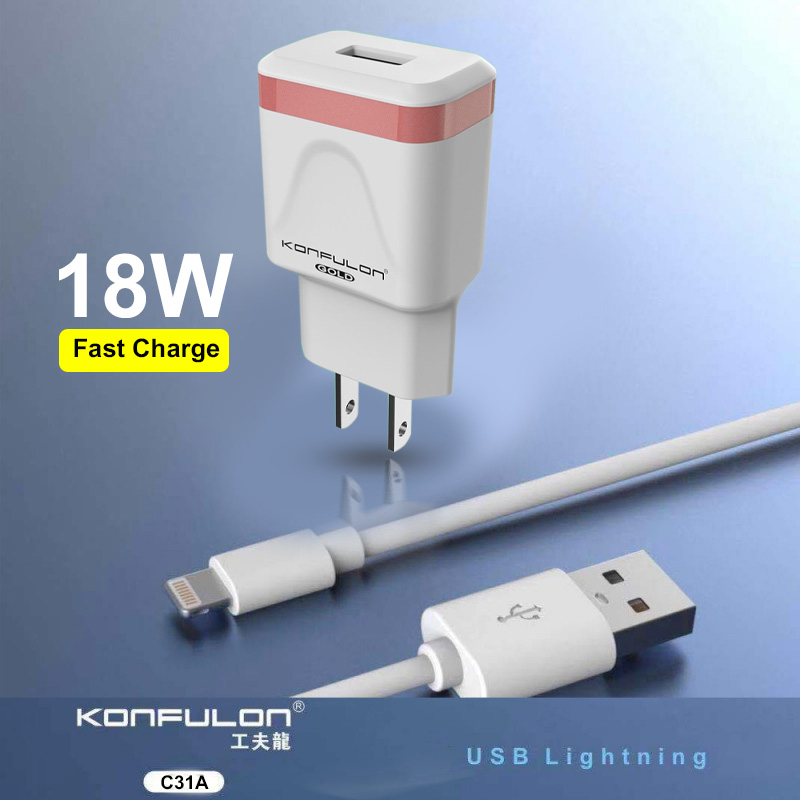 Fast Charge Adapter C31A -Lightning